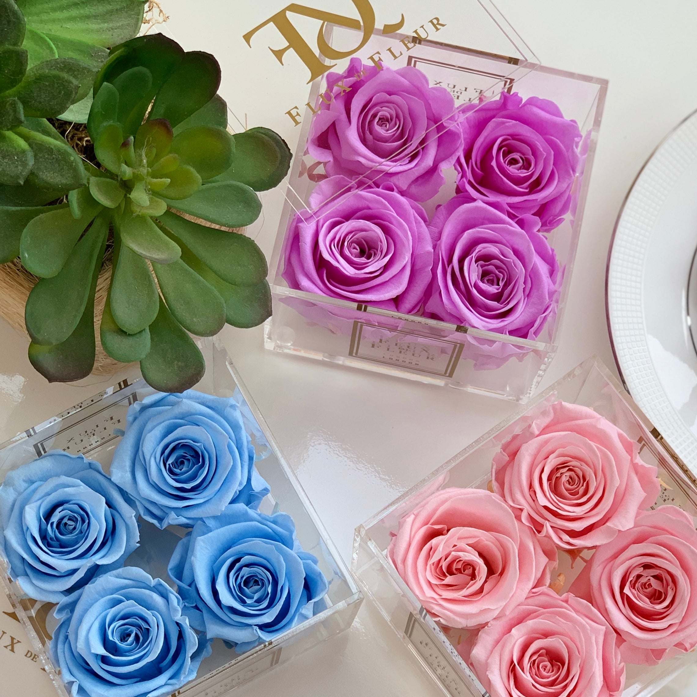 Buy Infinity Roses For Sale UK , Price Of Infinity Roses Box, UK – FLUX ...